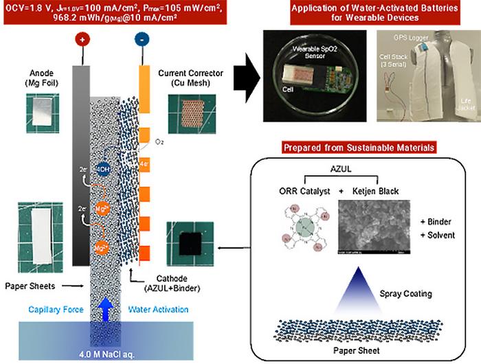 Figure 2 [IMAGE] | EurekAlert! Science News Releases