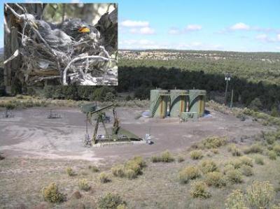 Natural Gas Wells [IMAGE] | EurekAlert! Science News Releases