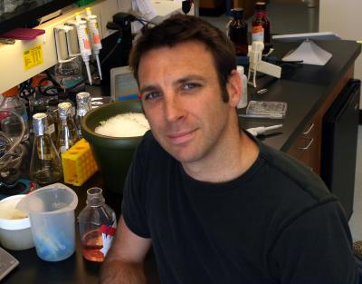 Capturing the birth of a synapse | EurekAlert!