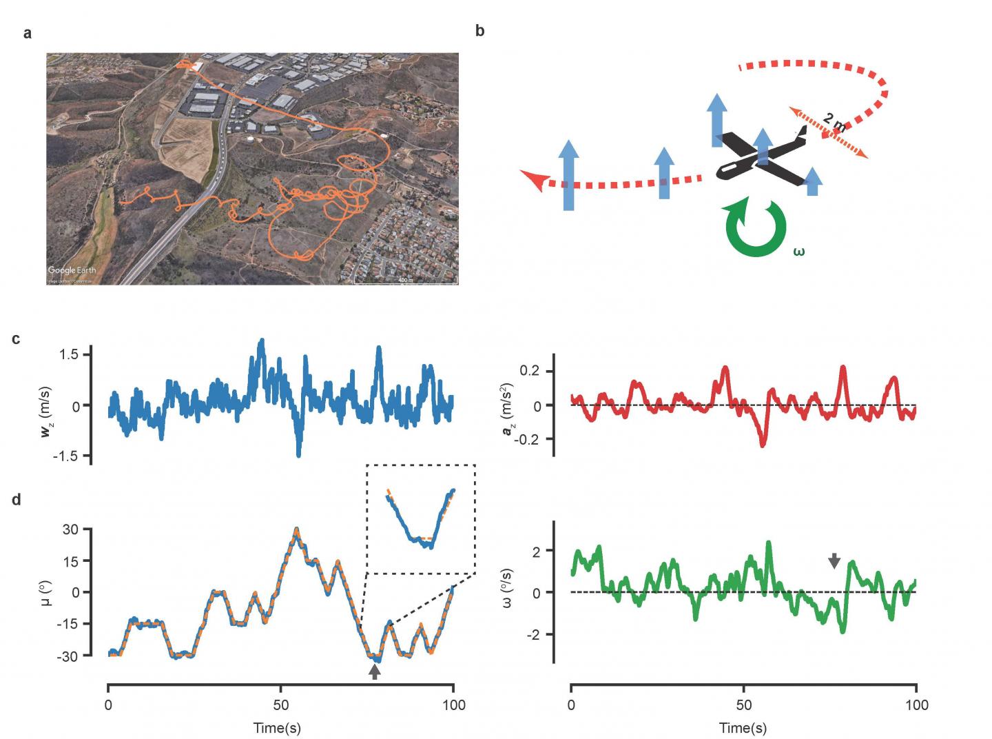 Soaring Figure [IMAGE] | EurekAlert! Science News Releases