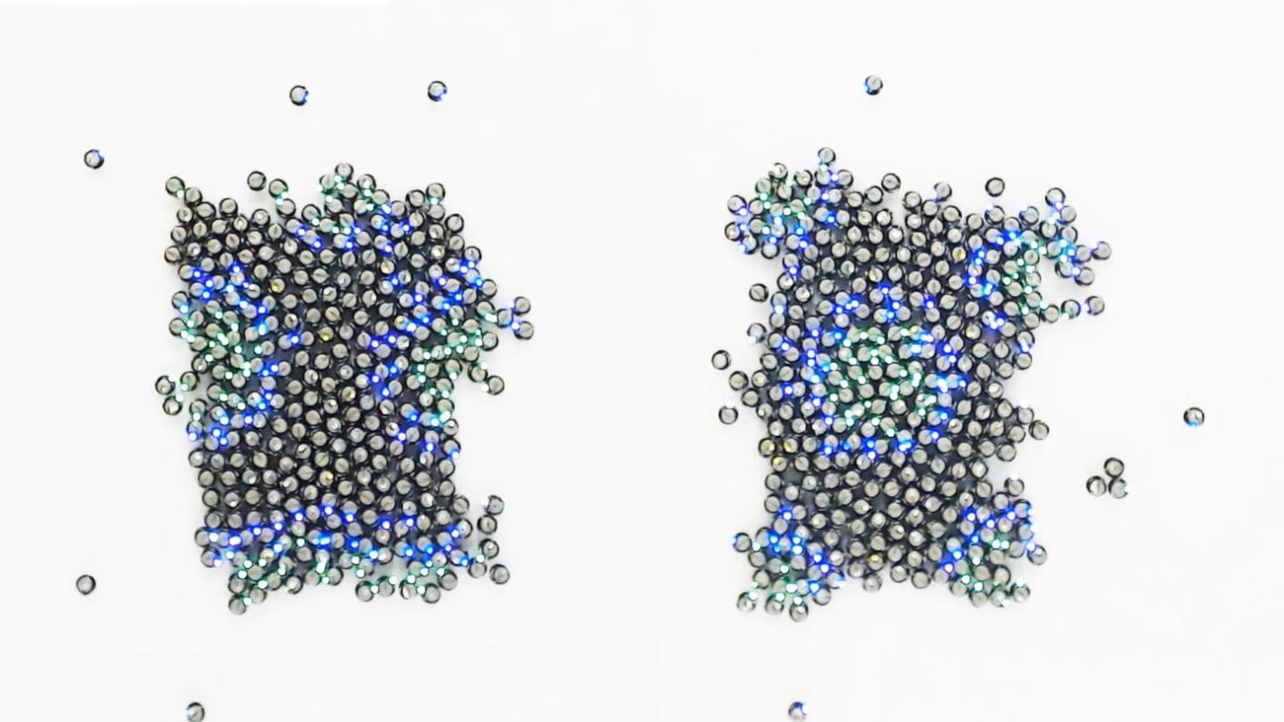Building a Robotic Swarm That [IMAGE] | EurekAlert! Science News Releases