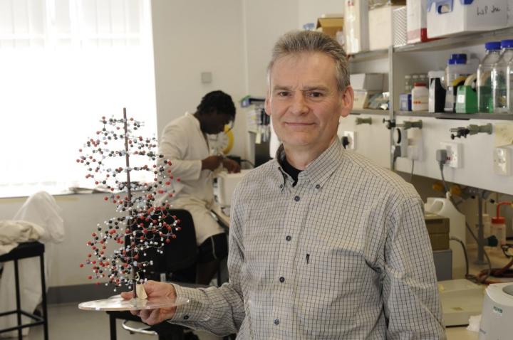 Tony Maxwell, John Innes Centr [IMAGE] | EurekAlert! Science News Releases