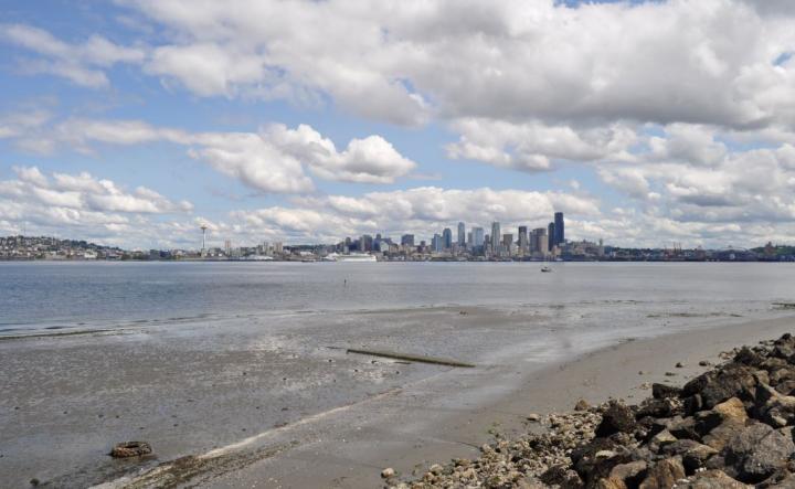 Puget Sound, Washington [IMAGE] | EurekAlert! Science News Releases