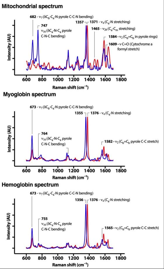 Shifting Light Spectra [IMAGE] | EurekAlert! Science News Releases