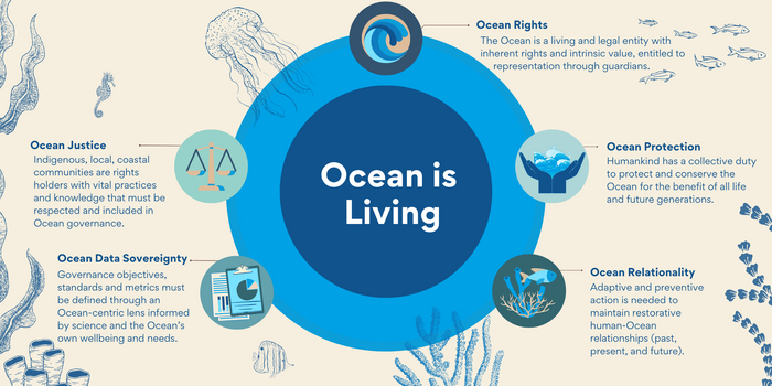 The Ocean should be treated as a living entit | EurekAlert!