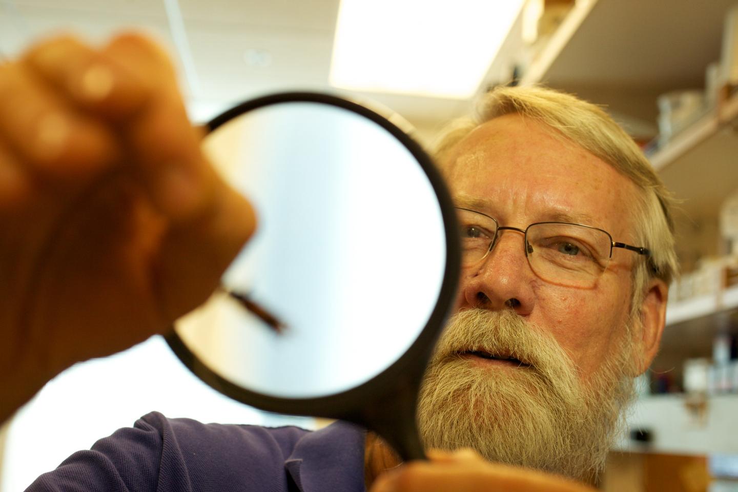 Entomology Professor to Receive National Teac | EurekAlert!