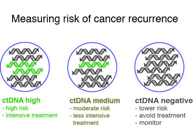 Predicting Cancer Recurrence w [IMAGE] | EurekAlert! Science News Releases
