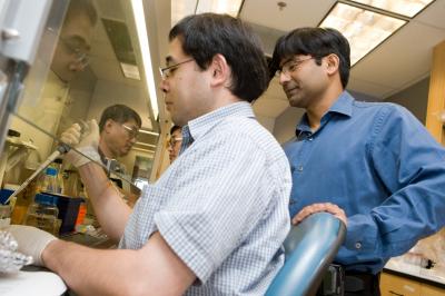 Pavan R Reddy, M.D., Universit [IMAGE] | EurekAlert! Science News Releases