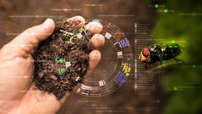 Advances in forensic science improve accuracy | EurekAlert!