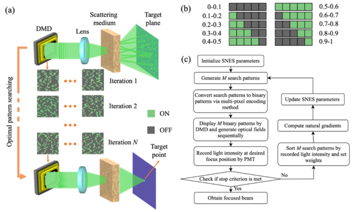 Figure 1 | Principle and schem [IMAGE] | EurekAlert! Science News Releases