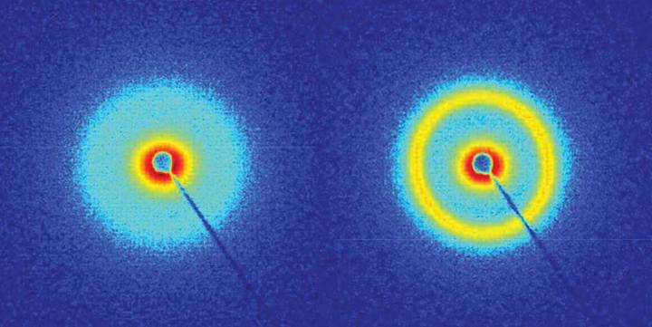 New Process for Making Tape [IMAGE] | EurekAlert! Science News Releases