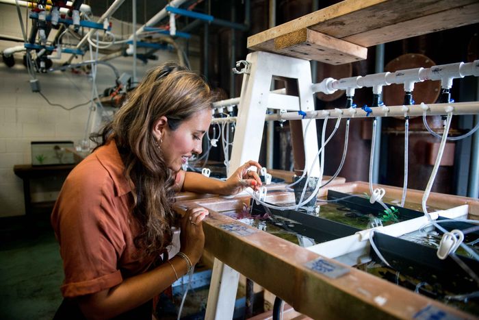 2. Alex Schnell in Cephalopod [IMAGE] | EurekAlert! Science News Releases