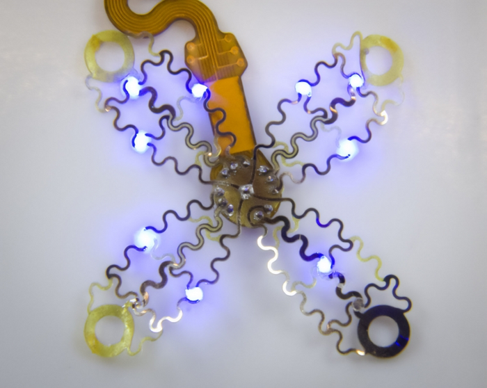 Device [IMAGE] | EurekAlert! Science News Releases