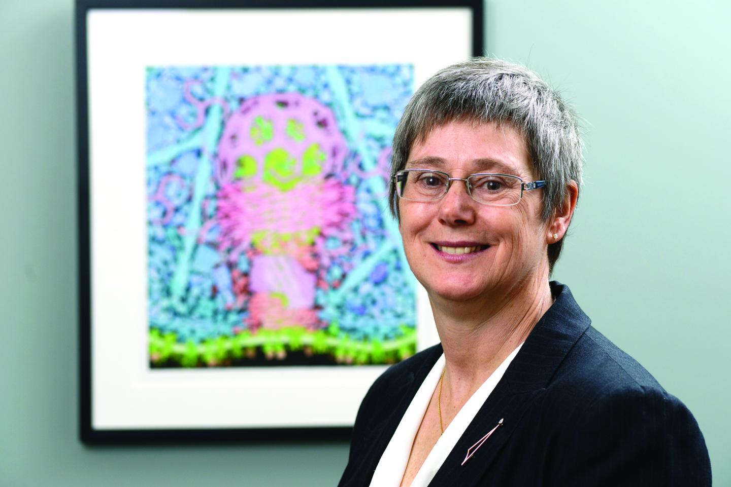 Dr. Sandra L. Schmid of UT Southwestern elect | EurekAlert!