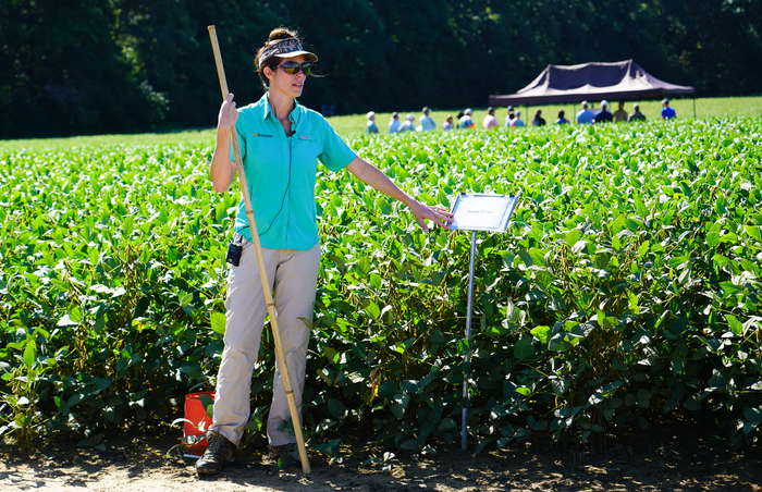 Tennessee continues with grant focused on int | EurekAlert!