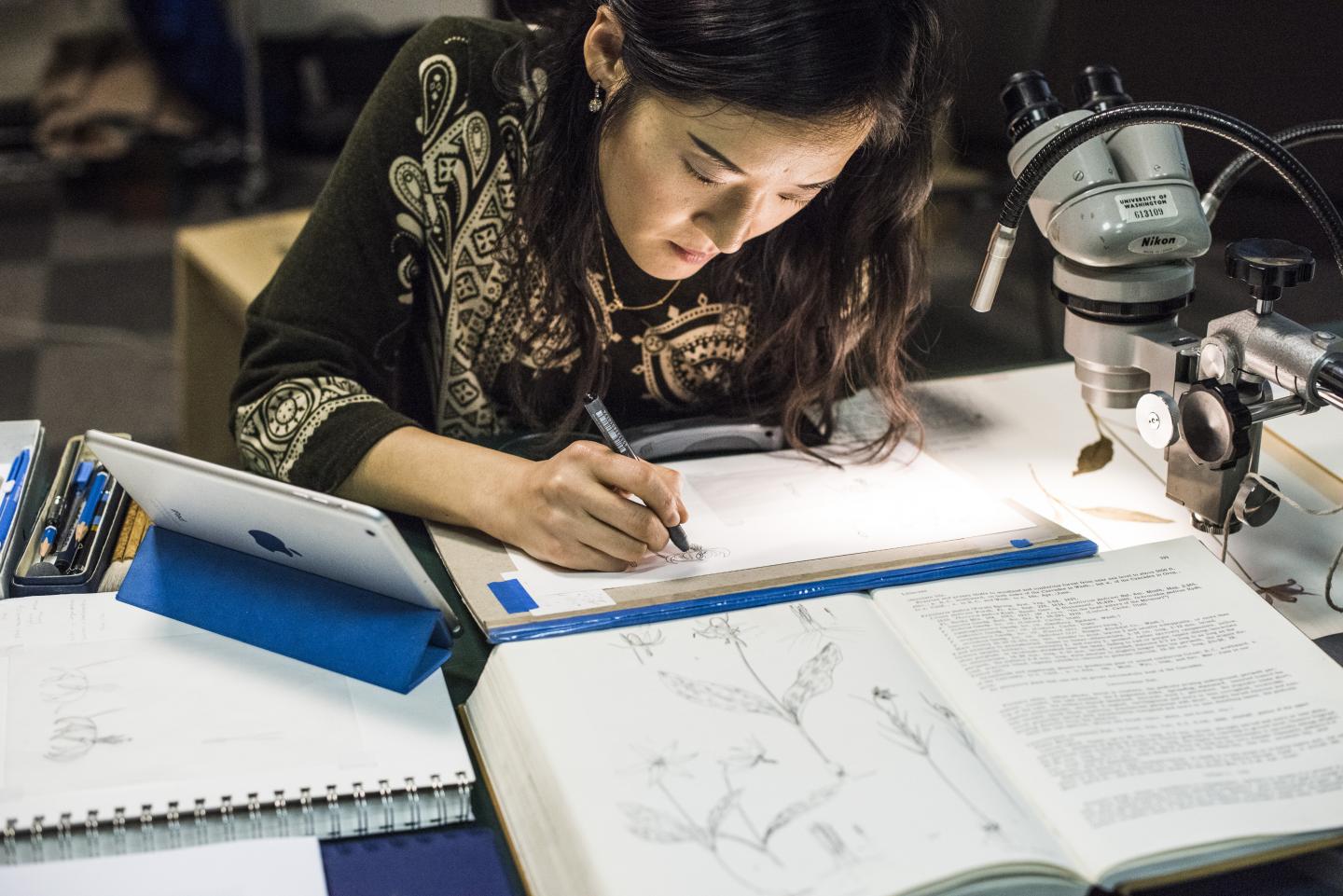 Illustrator Crystal Shin [IMAGE] | EurekAlert! Science News Releases