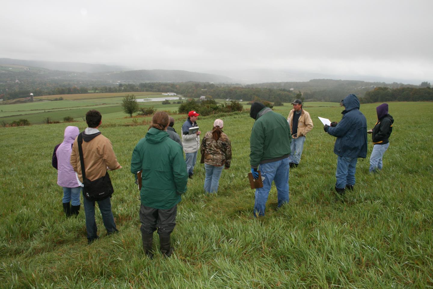 Field Walk [IMAGE] | EurekAlert! Science News Releases