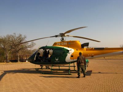 A Legal Trade? Taking Africa's Rhino by the H | EurekAlert!