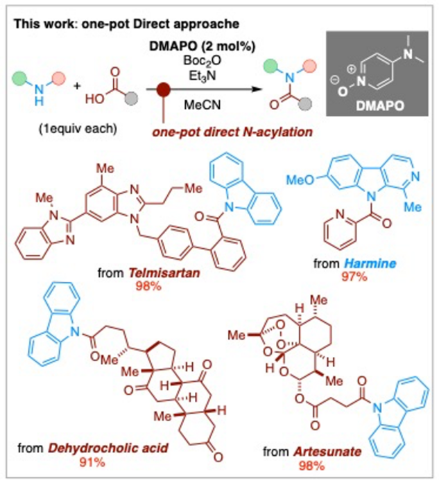 DMAPO/Boc2O-mediated one-pot d [IMAGE] | EurekAlert! Science News Releases