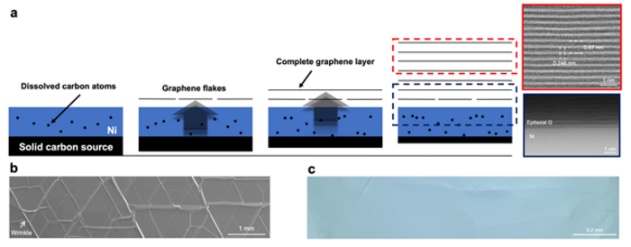 Figure 2. Mechanism of single [IMAGE] | EurekAlert! Science News Releases