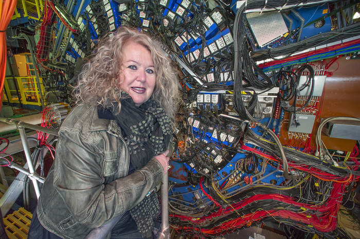 Elke Aschenauer at STAR detect [IMAGE] | EurekAlert! Science News Releases