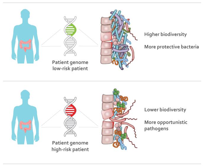 People may inherit 'gut' bacteria that cause | EurekAlert!