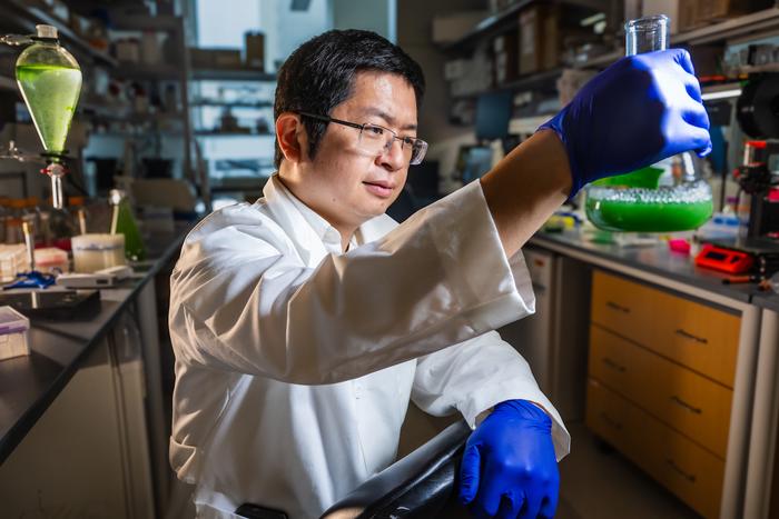 George Lu [IMAGE] | EurekAlert! Science News Releases