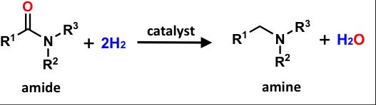 Sustainable amine production through hydrogen | EurekAlert!