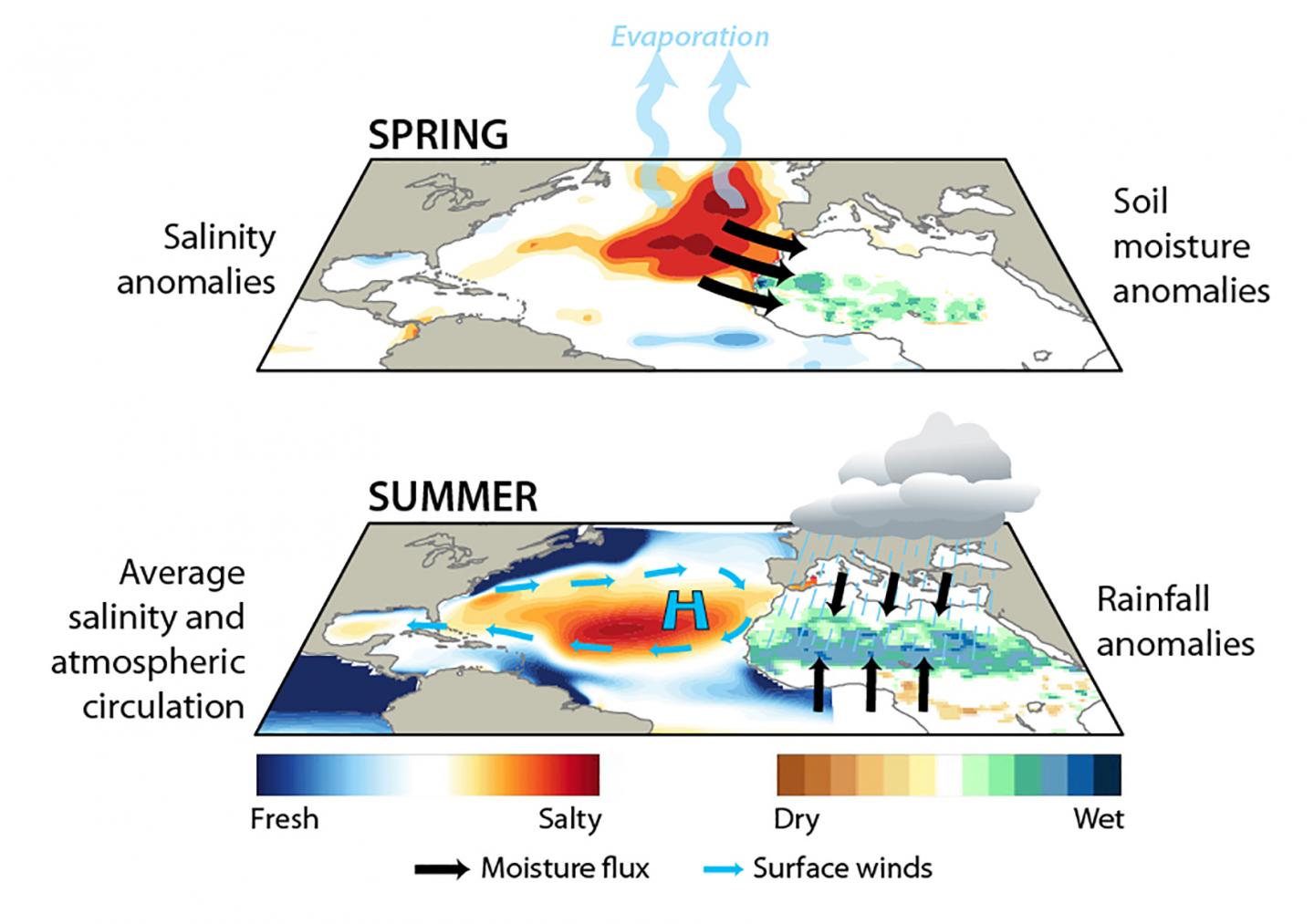North Atlantic Salinity as a Predictor of Sah | EurekAlert!