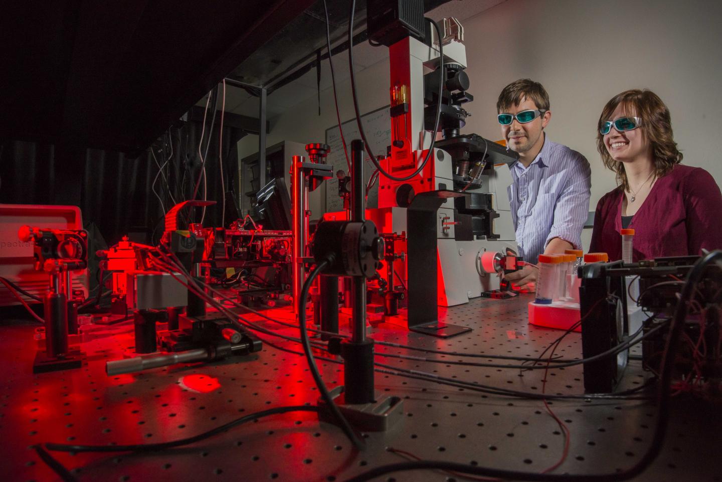 Changing Flesh to Stone [IMAGE] | EurekAlert! Science News Releases