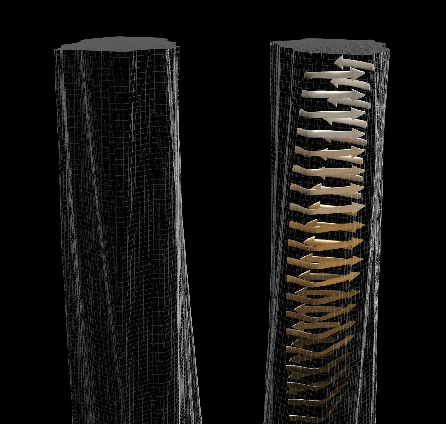 Newly deciphered structure suggests how infec | EurekAlert!
