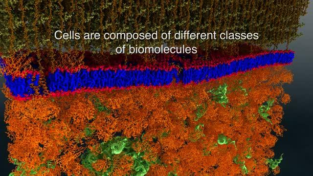 Neutrons provide the first nanoscale look at | EurekAlert!