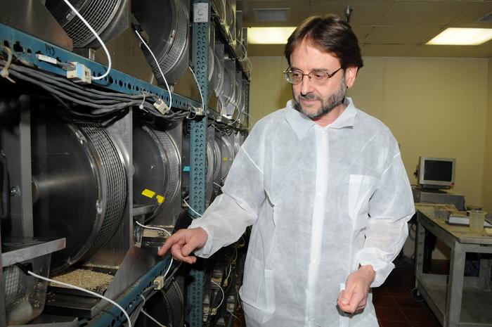 Garland [IMAGE] | EurekAlert! Science News Releases