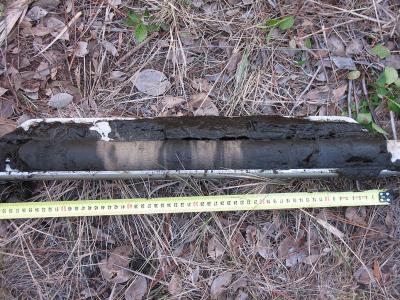 Sediment Core [IMAGE] | EurekAlert! Science News Releases