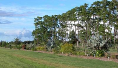 New roadside beautification concept studied | EurekAlert!