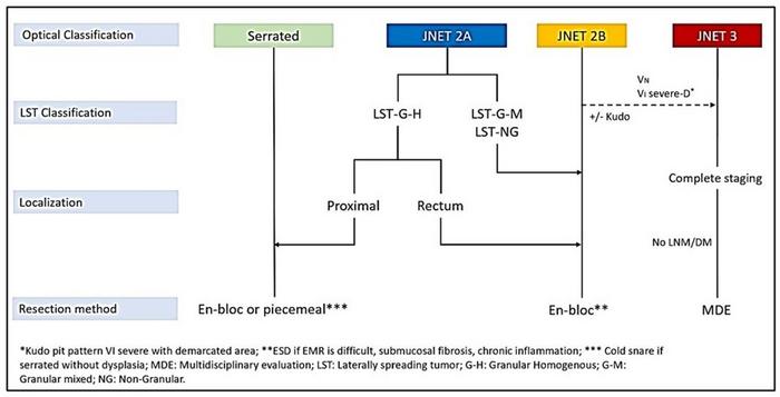 Flow chart for the management [IMAGE] | EurekAlert! Science News Releases