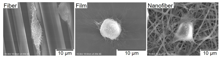 TOC Graphic [IMAGE] | EurekAlert! Science News Releases