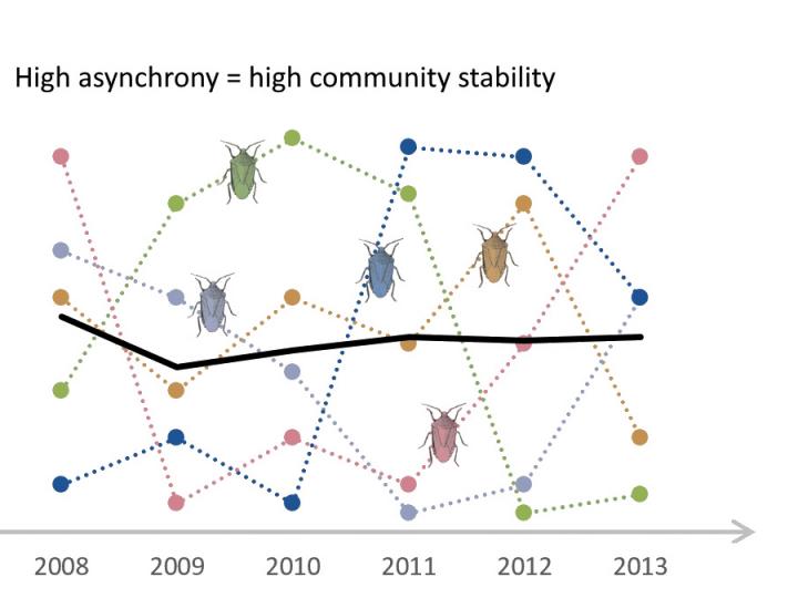 Asynchrony of Species [IMAGE] | EurekAlert! Science News Releases