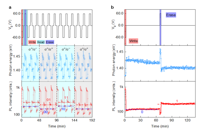 Electrically controlled memory [IMAGE] | EurekAlert! Science News Releases