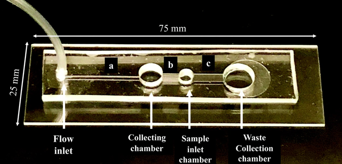 Microfluidic Chip for Sperm Se [IMAGE] | EurekAlert! Science News Releases