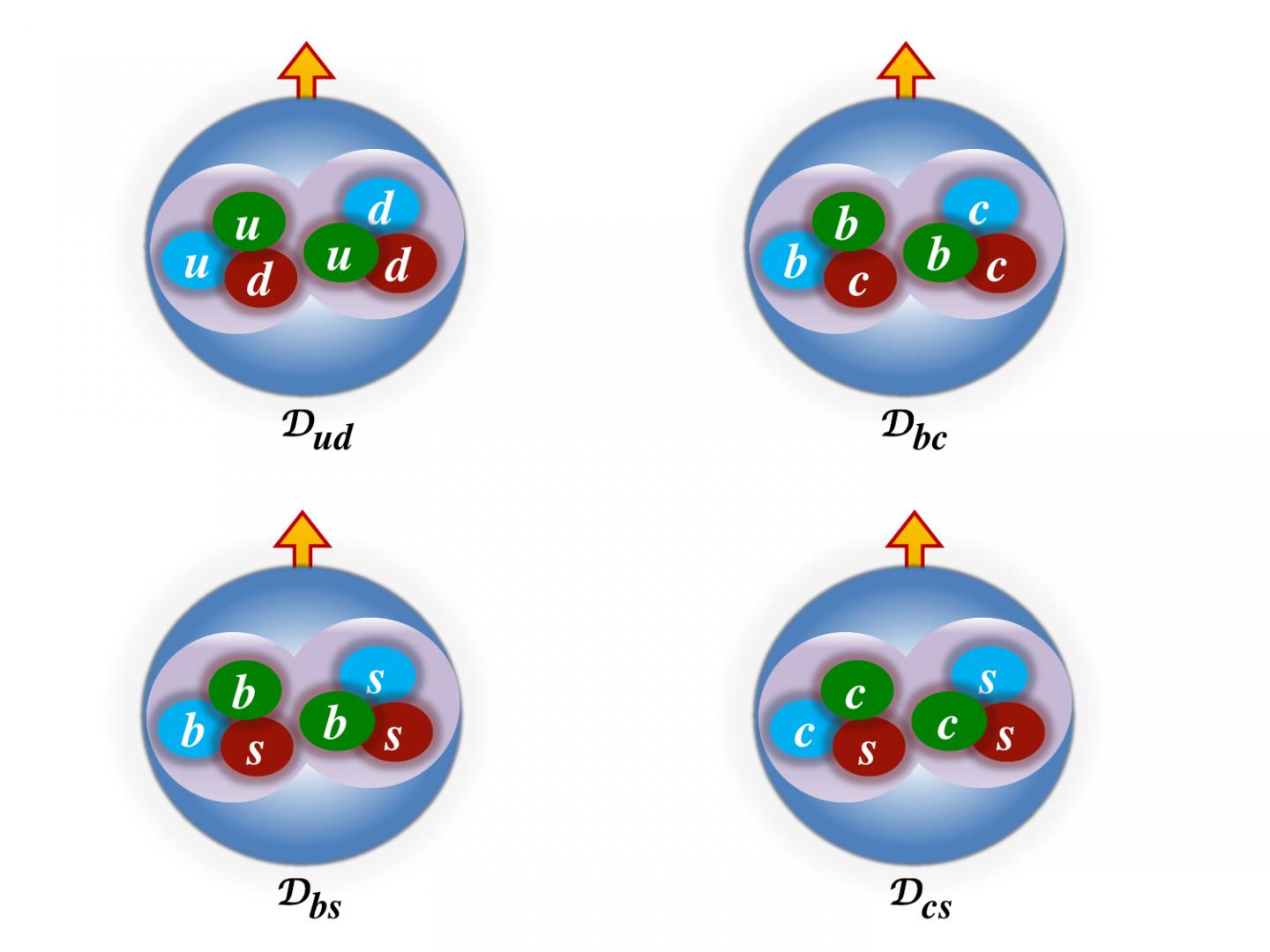 Deuteron-like heavy dibaryons -- a step towar | EurekAlert!