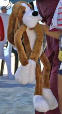 Huggy Puppy [IMAGE] | EurekAlert! Science News Releases