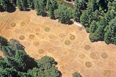 Long-Term Plant, Climate Chang [IMAGE] | EurekAlert! Science News Releases