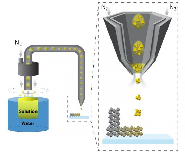 Schematic representation of th [IMAGE] | EurekAlert! Science News Releases
