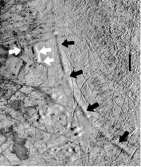 Wandering poles left scars on Europa | EurekAlert!