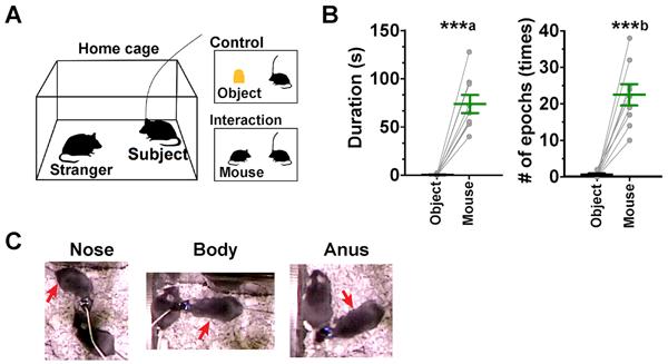 Figure 1 [IMAGE] | EurekAlert! Science News Releases