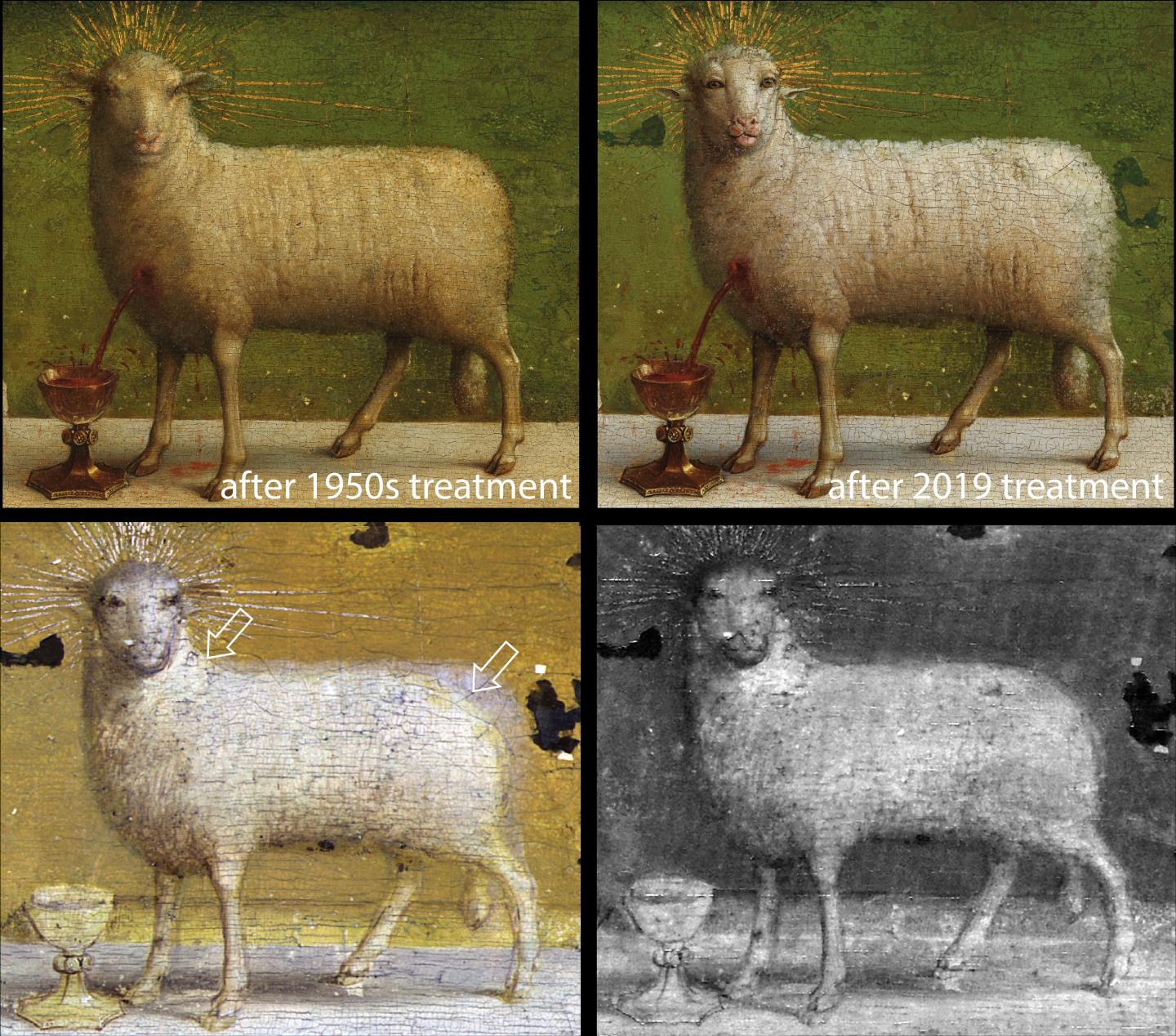 The Whole Lamb [IMAGE] | EurekAlert! Science News Releases
