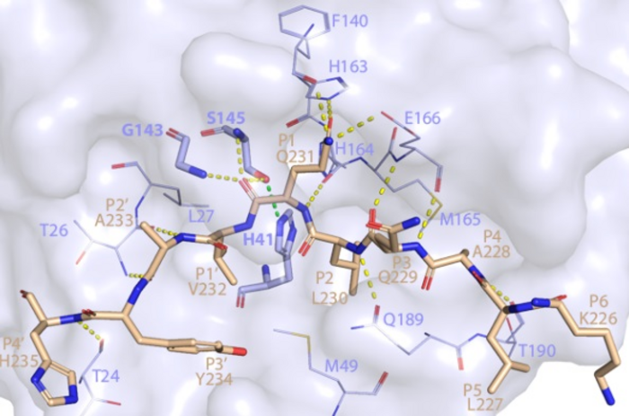 SARS-CoV-2-NEMO-structure [IMAGE] | EurekAlert! Science News Releases