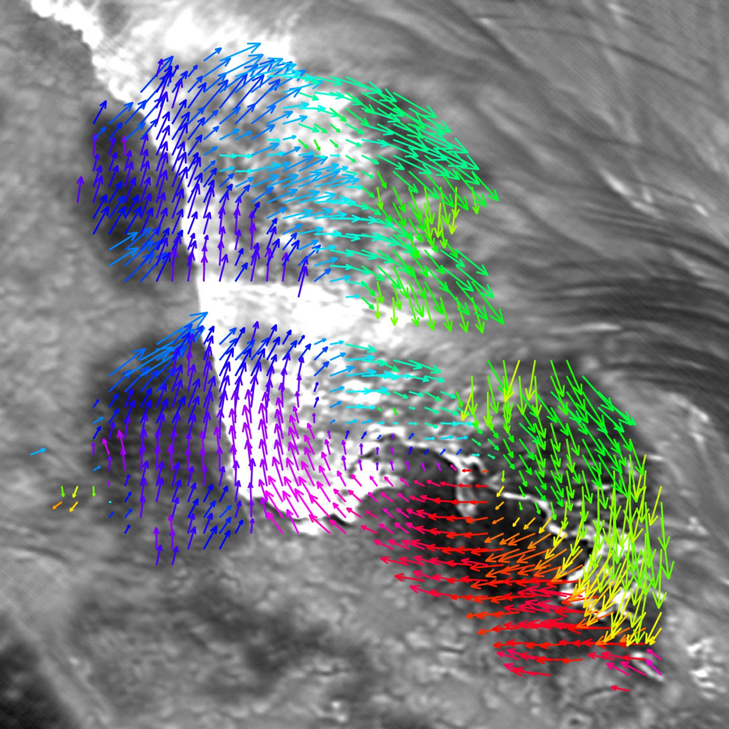 The Sun's coronal tail wags its photospheric | EurekAlert!