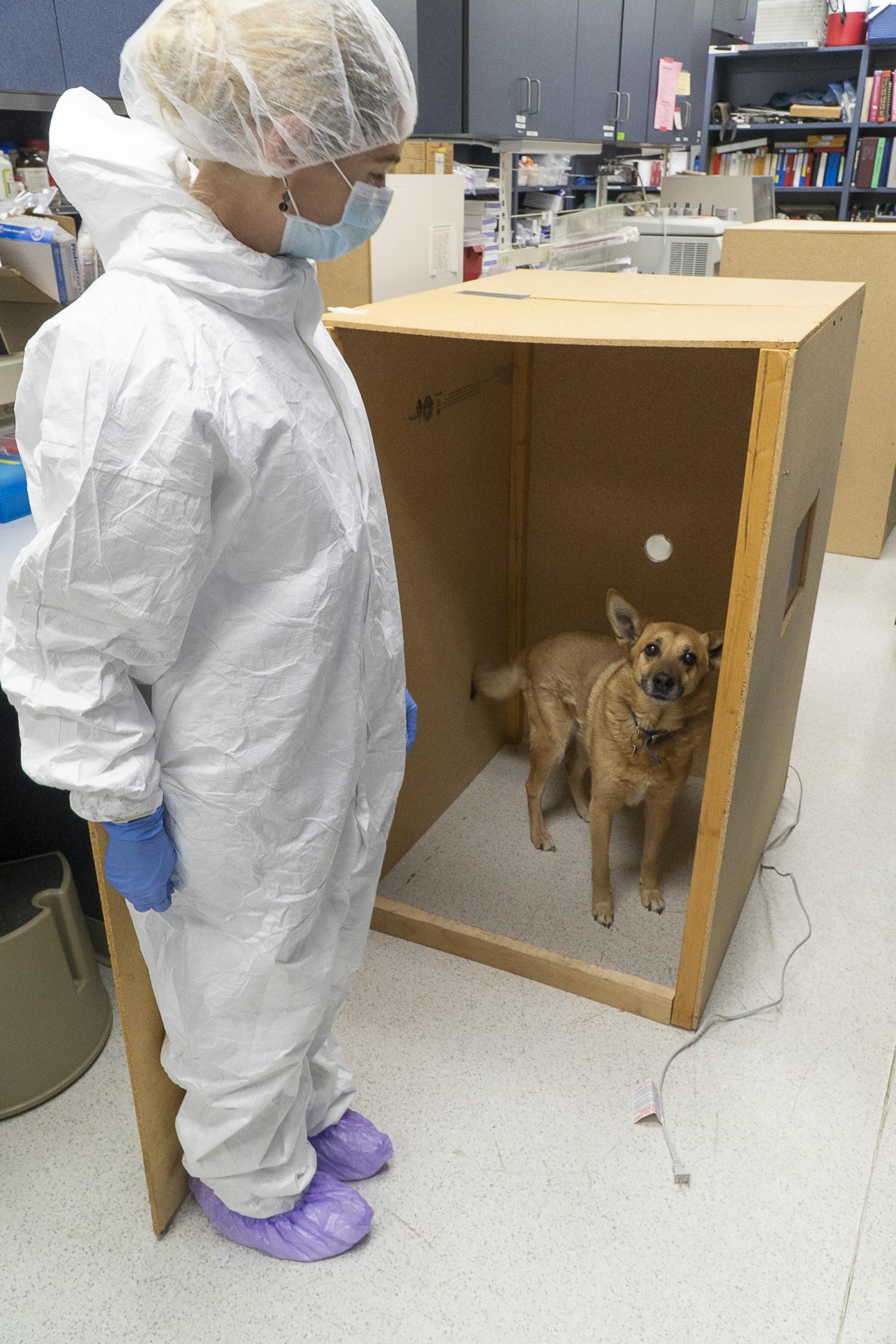 Laura Backus, MPH, DVM, prepar [IMAGE] | EurekAlert! Science News Releases